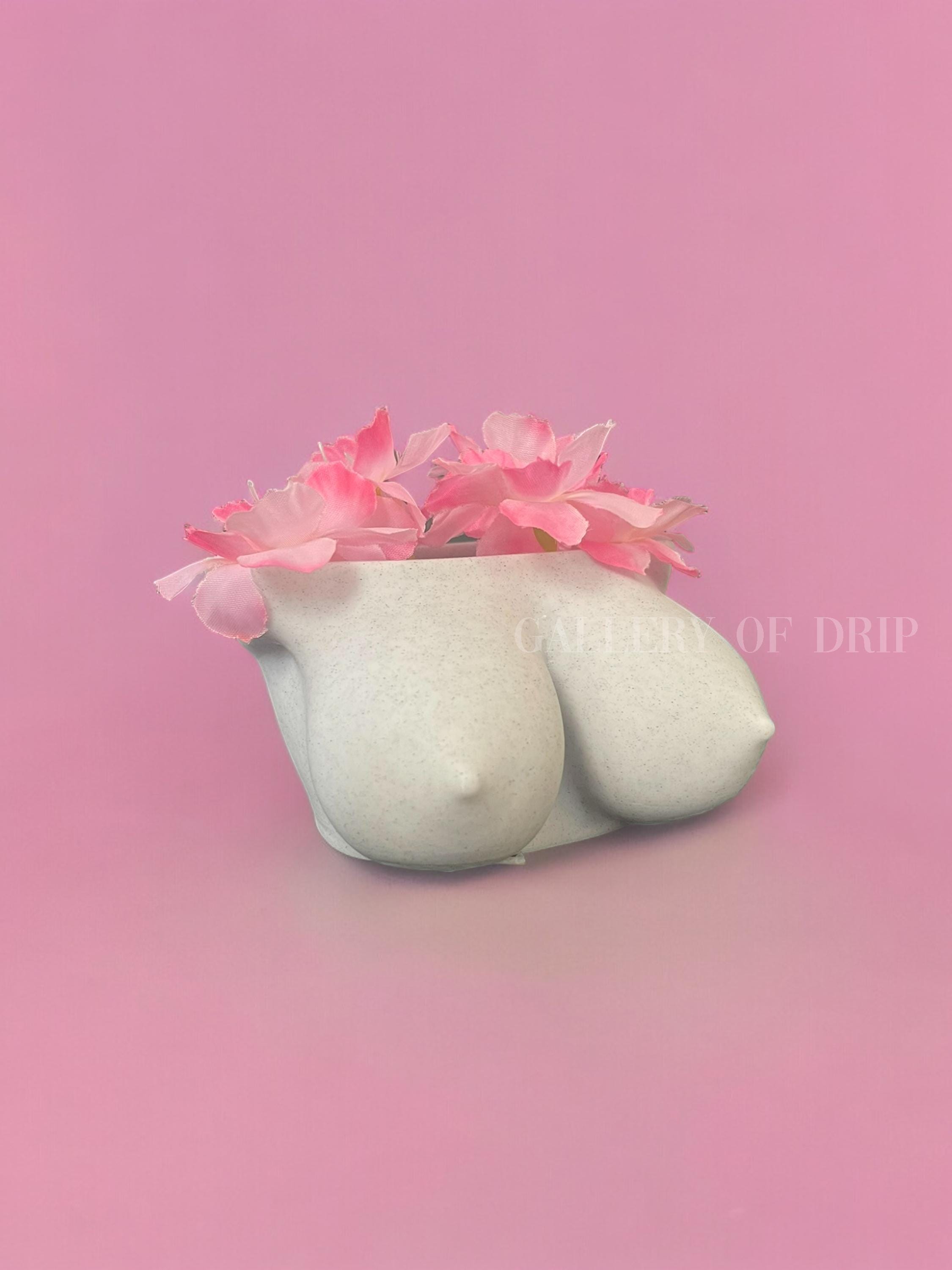 Boob Flower Pot Womans Bust Planter Breast Shaped Vase Beautiful