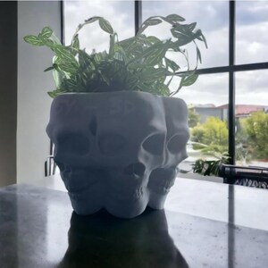 Multifaced Skull Planter, Poly Face Vase, Goth Flower Pot, Skeleton ...