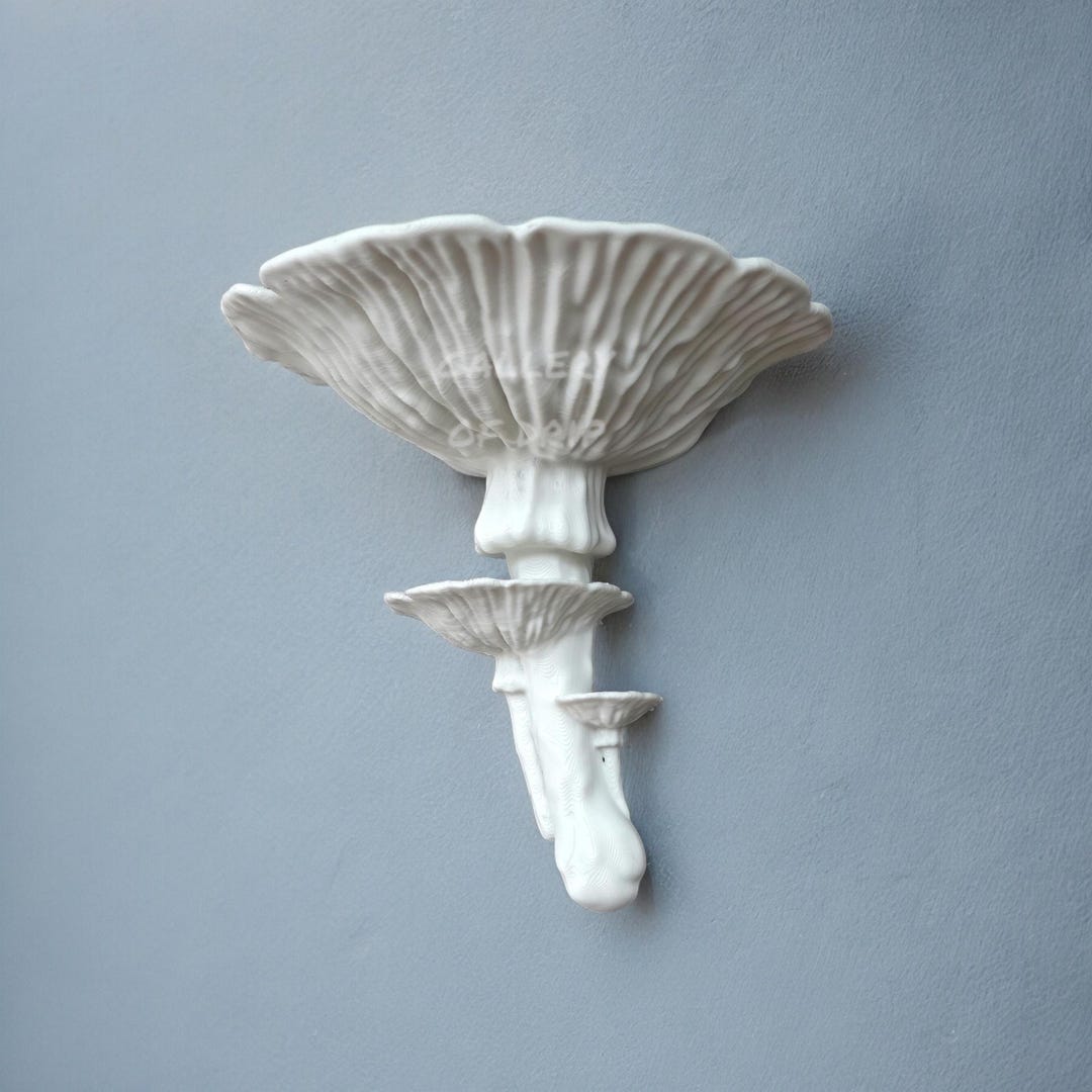 Decorative Mushroom Shelf | Amanita Fungus | Floating Display | Wall ...