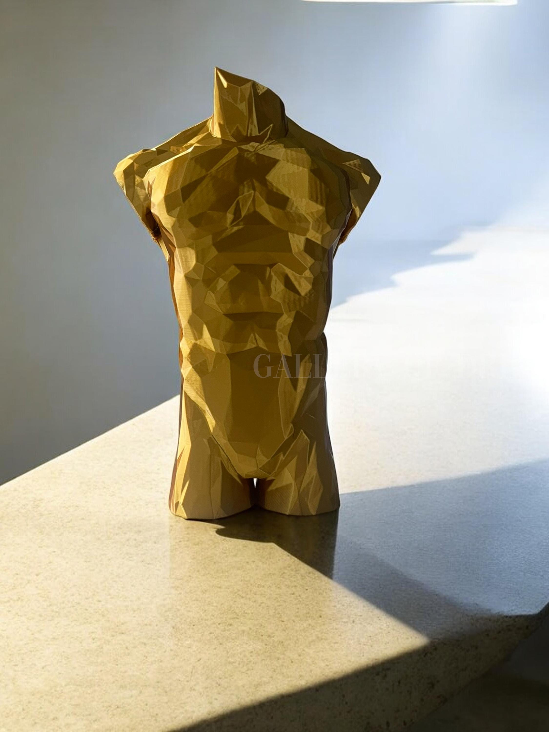 Luxe Male Torso Statue Figure | Low Poly Style | Dazzling Unique Finish ...