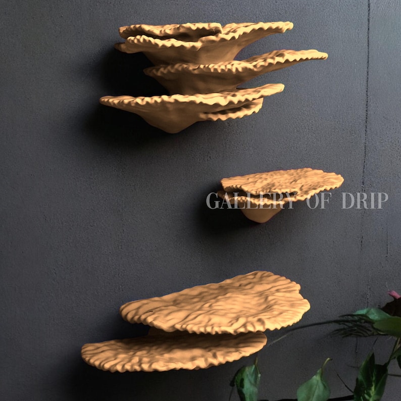 Decorative Mini Coral Shelf Set of 3 | Leaf Plate Montipora | Floating ...