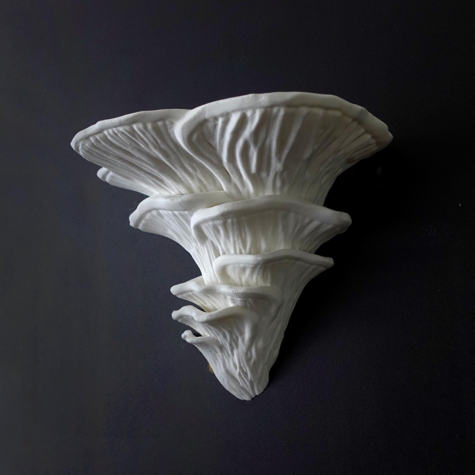 Decorative Mushroom Shelf | Djamor Fungus | Floating Display | Wall ...