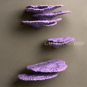 Decorative Mini Coral Shelf Set of 3 | Leaf Plate Montipora | Floating ...