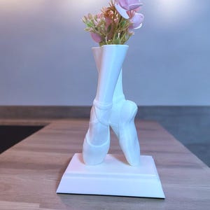 Ballerina Vase, Ballet Flower Pot, Shoe Planter, Succulent, Cacti, Air ...