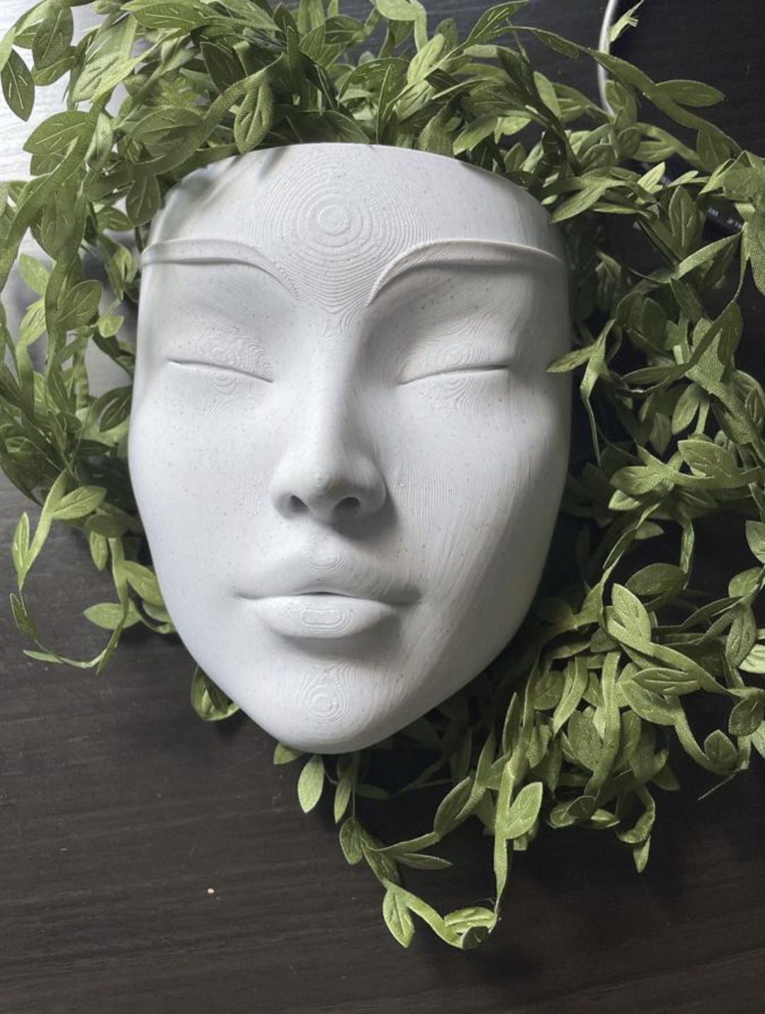Wall Face Planter, Head Flower Pot, Hanging Garden Decor, Mask ...