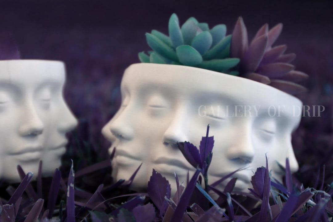 Polyface Planter, Multifaced Flower Pot, Poly Face Vase, Succulent ...