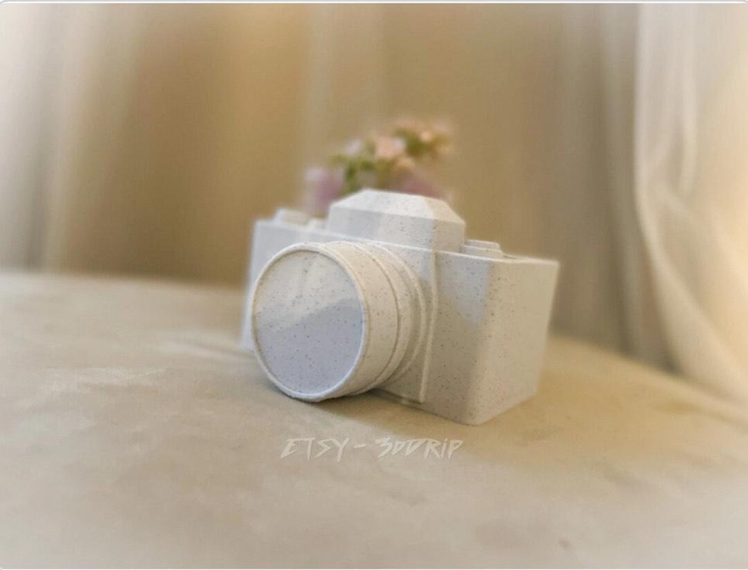 Camera Planter, Photography Flower Pot, Vintage Body, SLR, Succulent ...