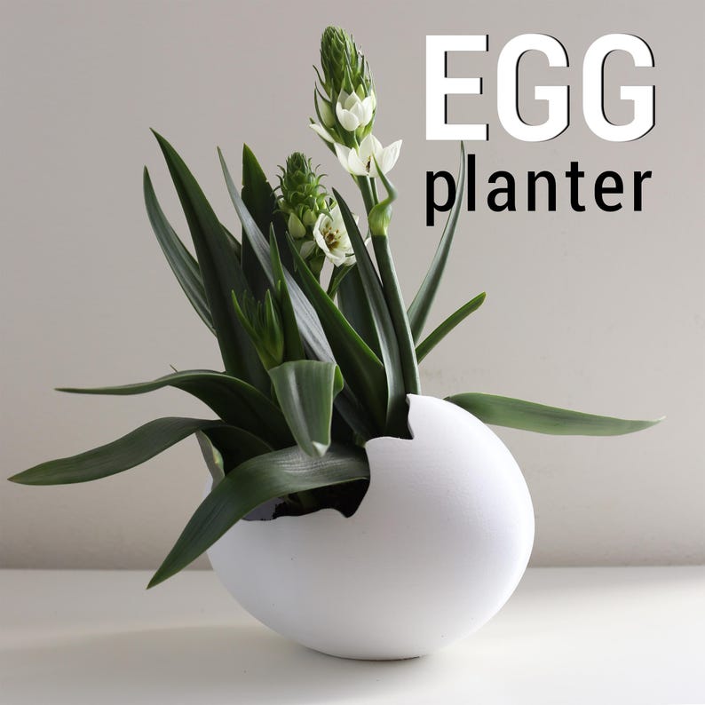 Egg Planter, Flower Pot Vase, House Plant Succulent Bowl, Chicken ...