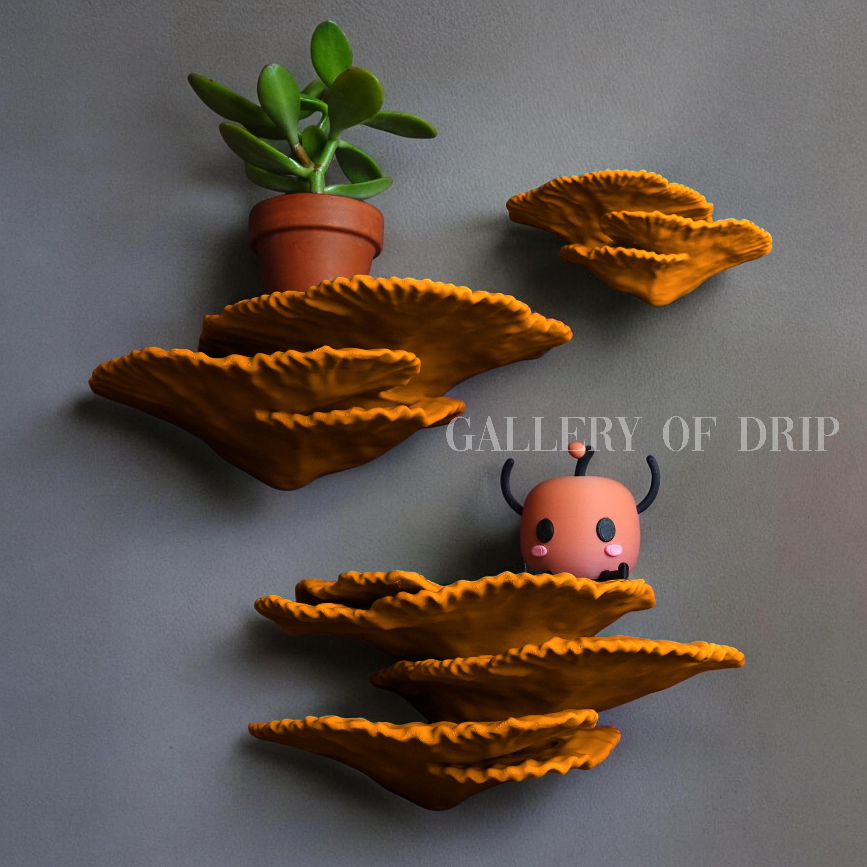 Decorative Mini Coral Shelf Set of 3 | Leaf Plate Montipora | Floating ...