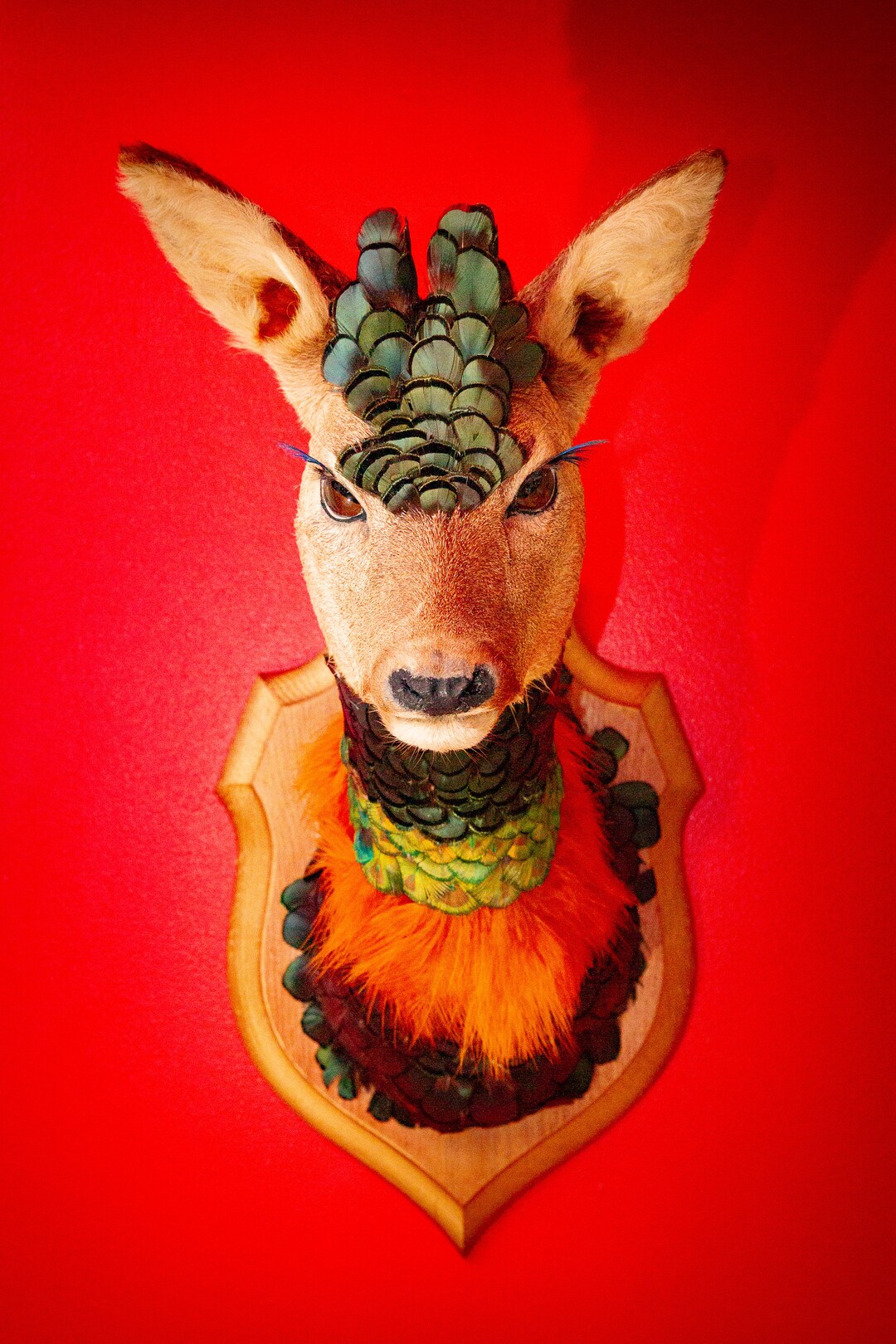 Taxidermy Chimera Trophy - Etsy