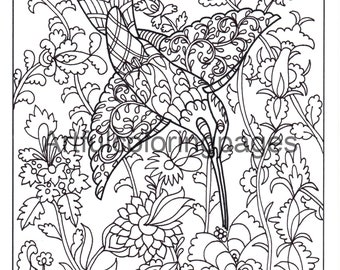 Magic Bird Coloring Page Downloadable Printable Line Art - Etsy