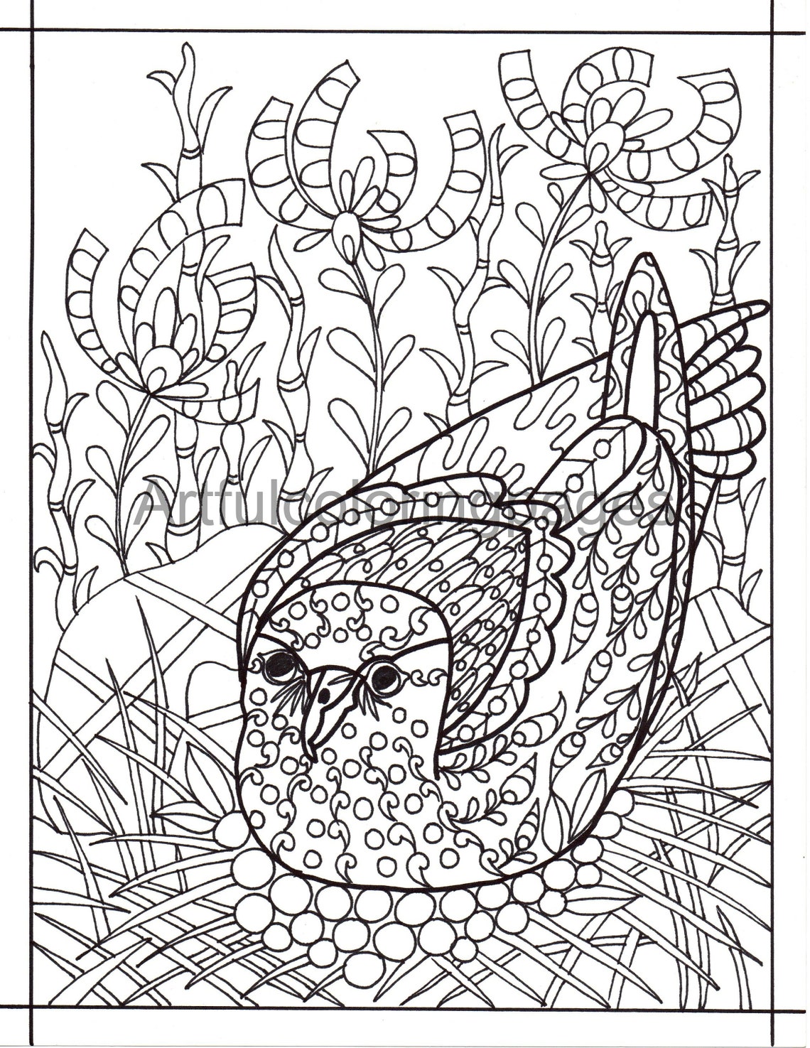 Bird Adult Coloring Pages Printable Adult Coloring Page Nature Adult ...