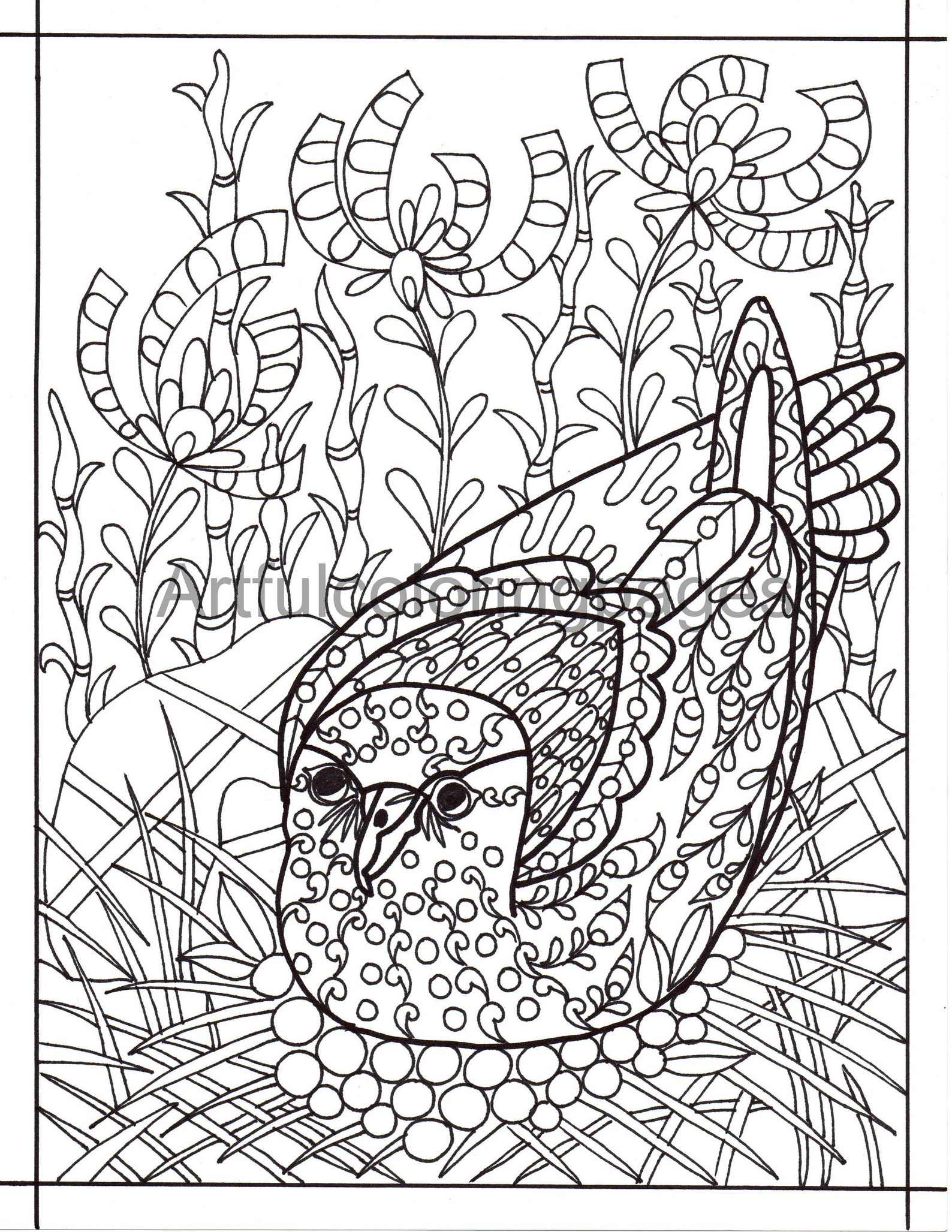 Bird Adult Coloring Pages Printable Adult Coloring Page Nature Adult ...