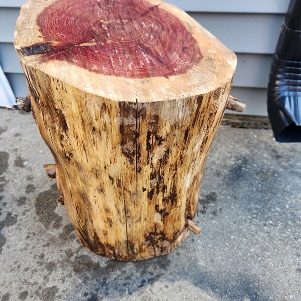 Stump Side Table - Etsy
