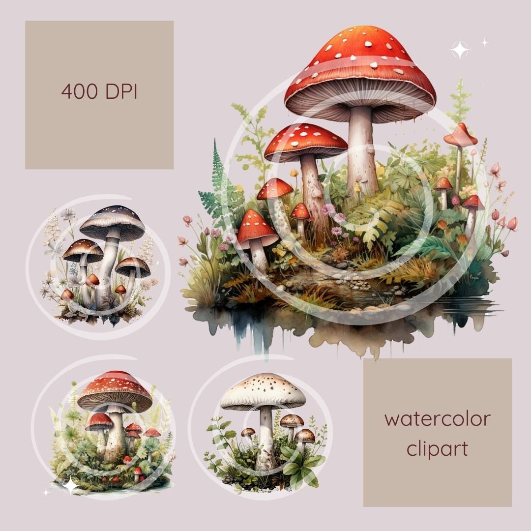 Autumn Mushrooms Watercolor Clipart, Fall Clipart, Commerciale Use ...
