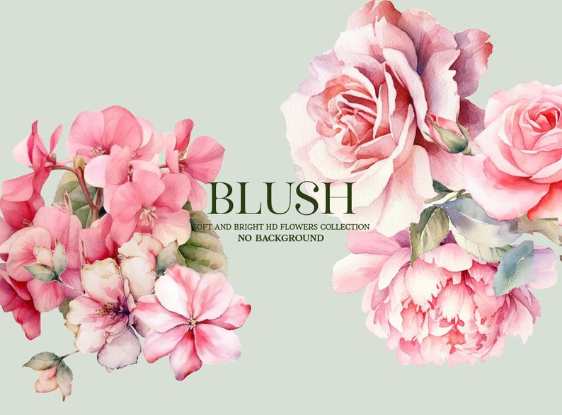 Watercolor Flowers Clipart Blush Pink Roses Clipart Dusty - Etsy