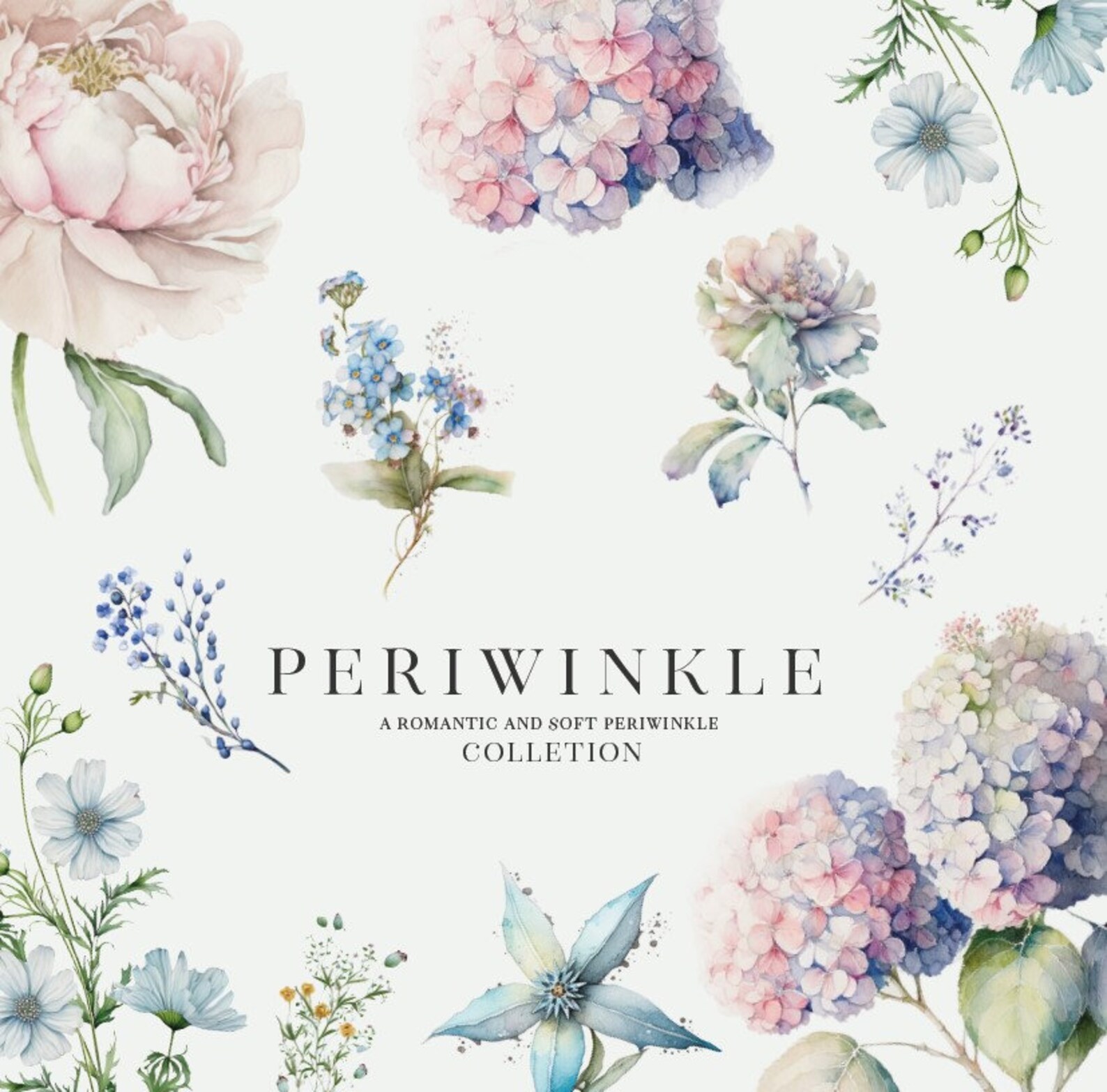 Watercolor Periwinkle Flower Clipart, Floral Arrangements (PNG) - Etsy
