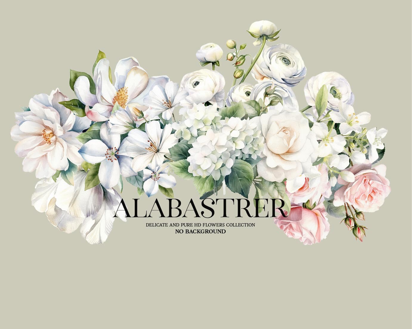 White and Light Pink Floral Clipart - Flowers Watercolor Clipart ...