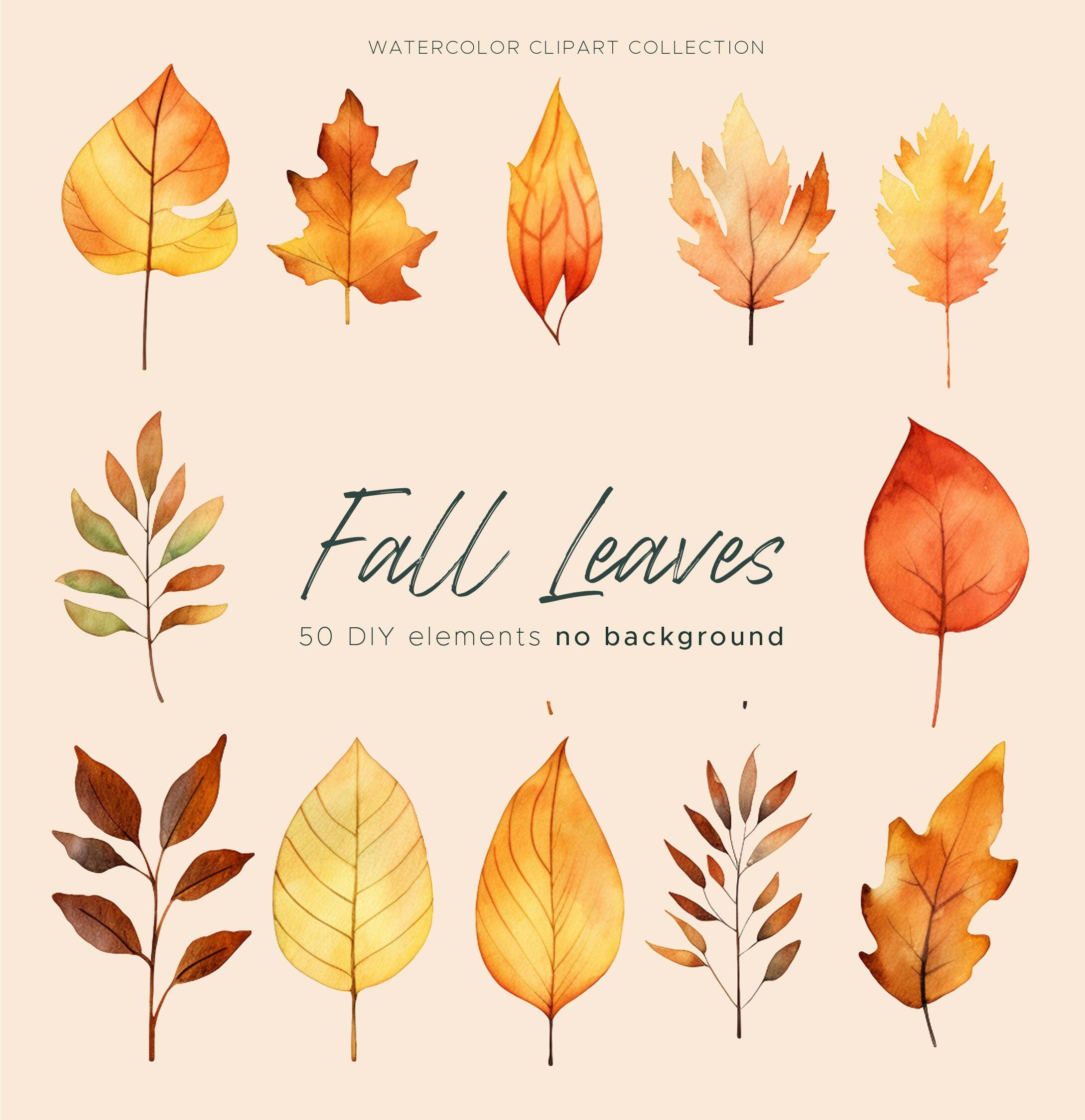 Maple Leaf Watercolor Png, Fall Leaves Clipart, Fall Clipart, Autumn ...