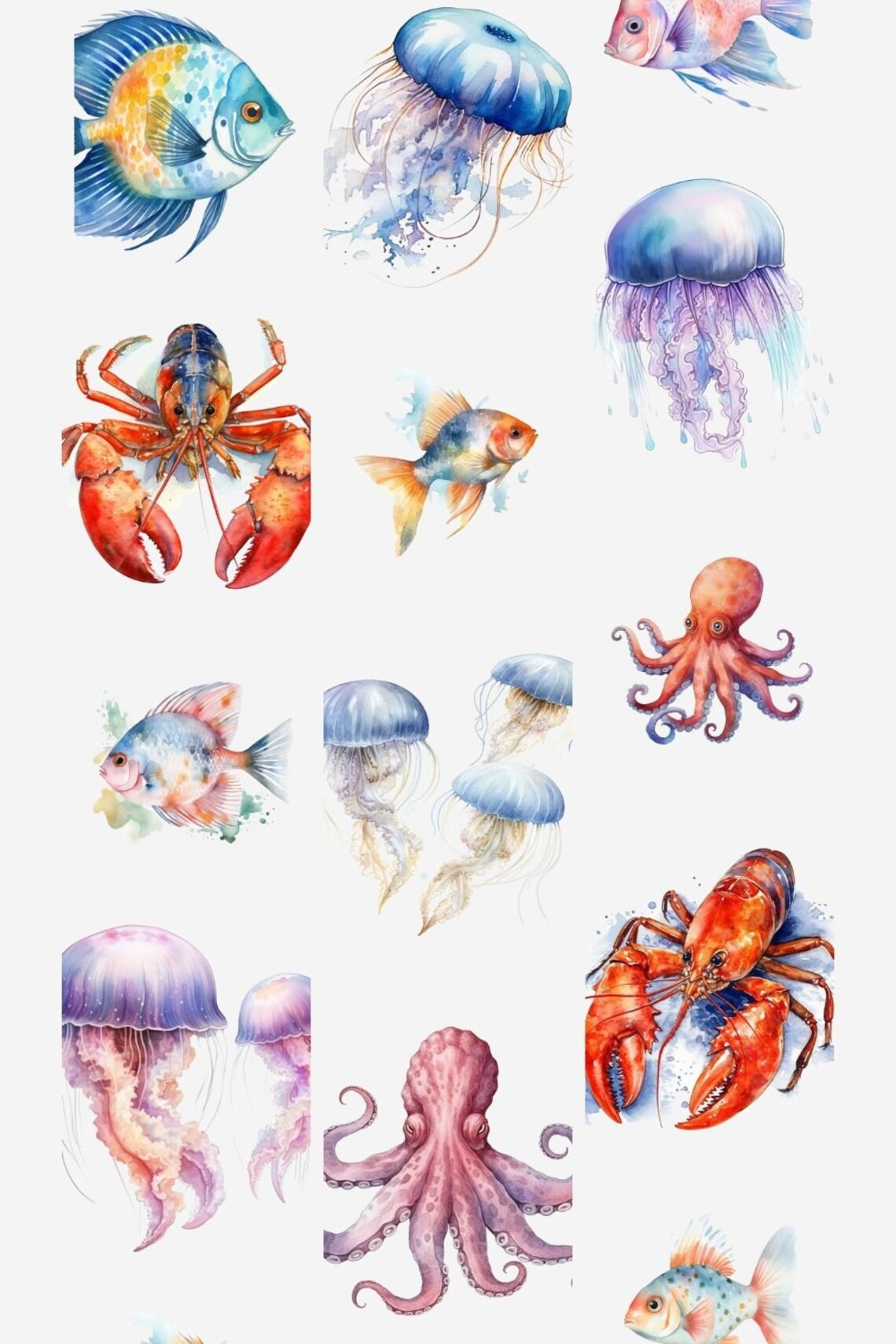 Jellyfish Clipart, Watercolor Jellyfish Clipart, Printable Clipart ...