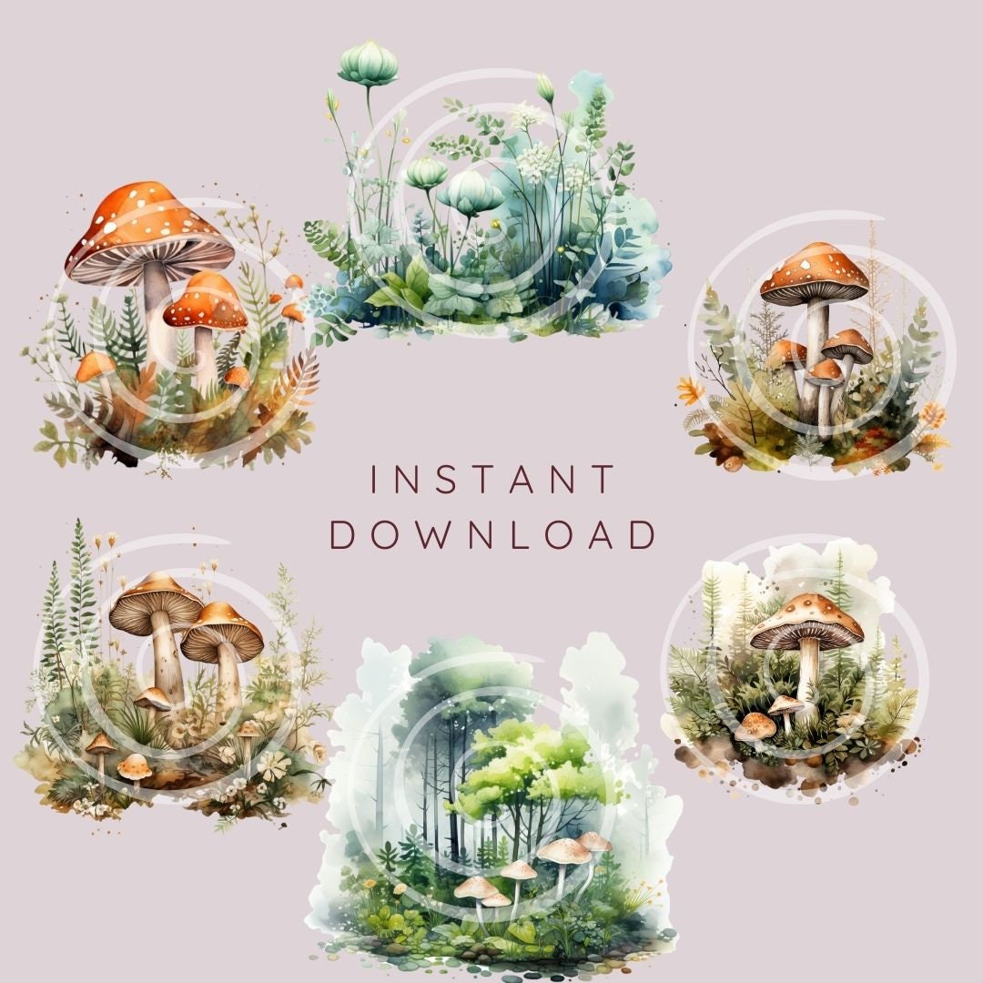 25 Watercolor Fall Forest Clipart Autumn Clipart Mushroom - Etsy
