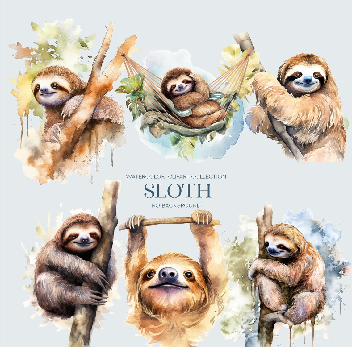 Watercolor Sloth Png, Cute Sloth Png Illustration, Animals Watercolor ...