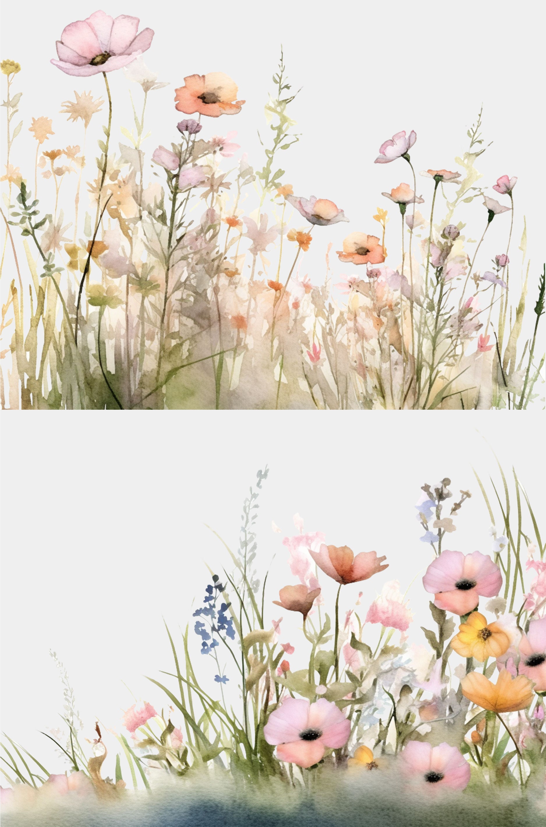 Watercolor Meadow Borders, Flower Borders Png, Wild Flowers, Watercolor ...