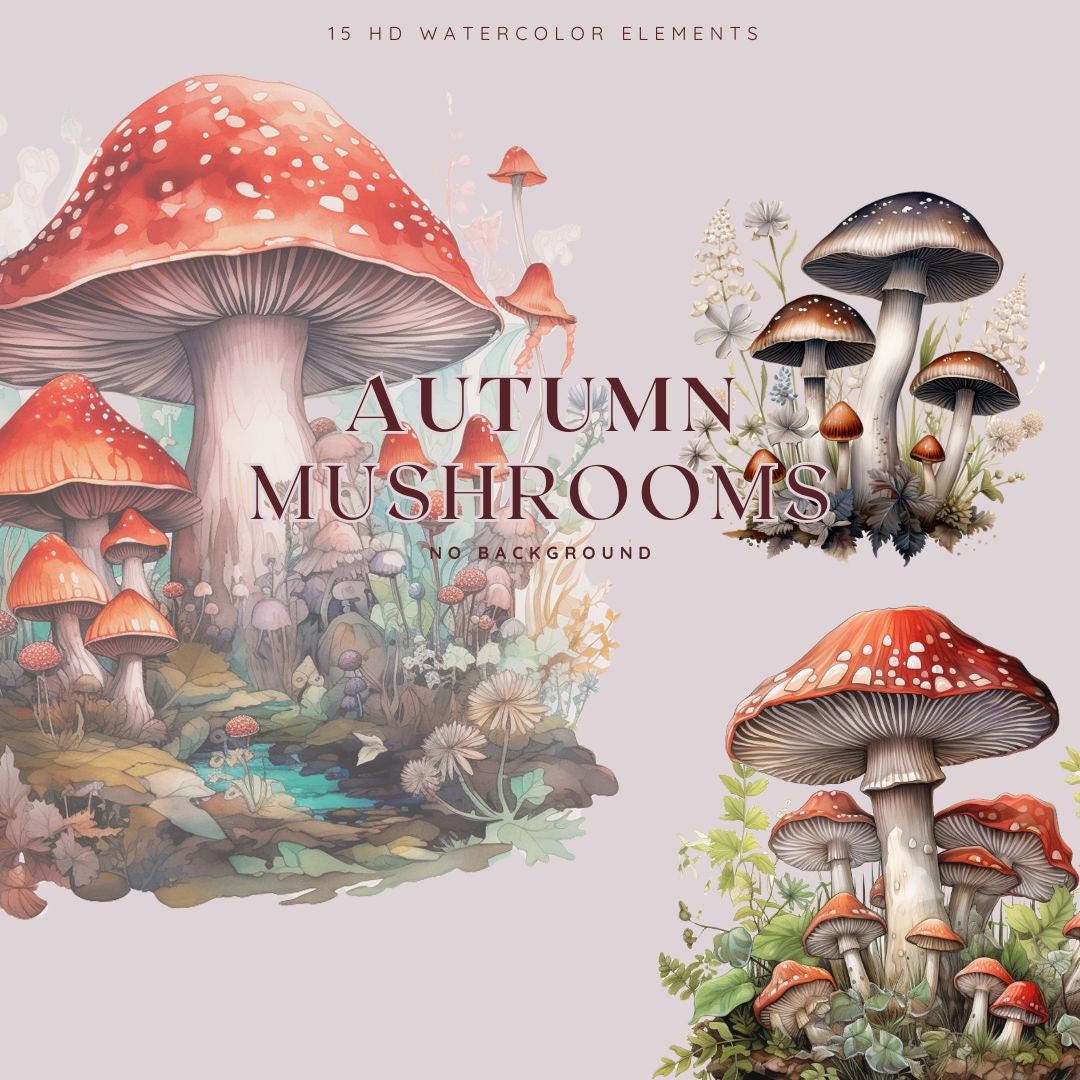 Mushrooms Clipart Autumn Forest Clipart Fall Clipart - Etsy