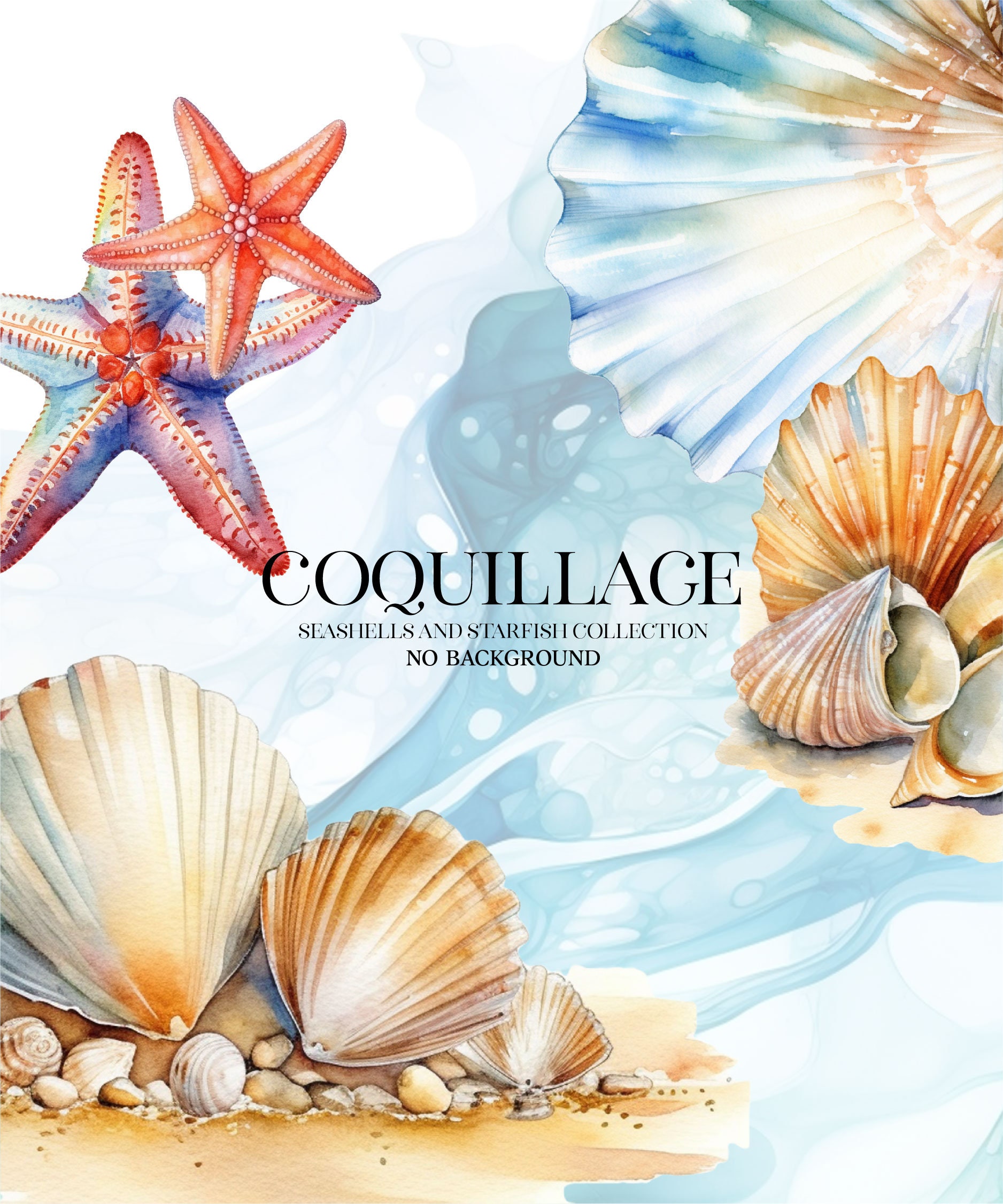 Beautiful Watercolor Seashells Clipart Watercolor Starfishes - Etsy