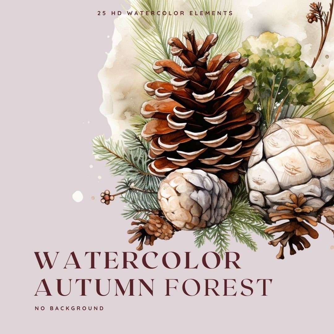 25 Watercolor Fall Forest Clipart Autumn Clipart Mushroom - Etsy