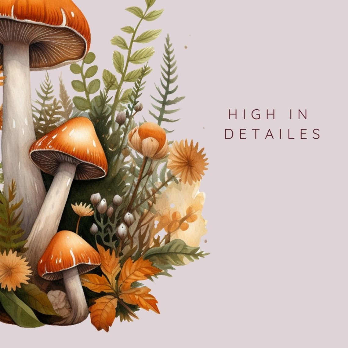 25 Watercolor Fall Forest Clipart Autumn Clipart Mushroom - Etsy