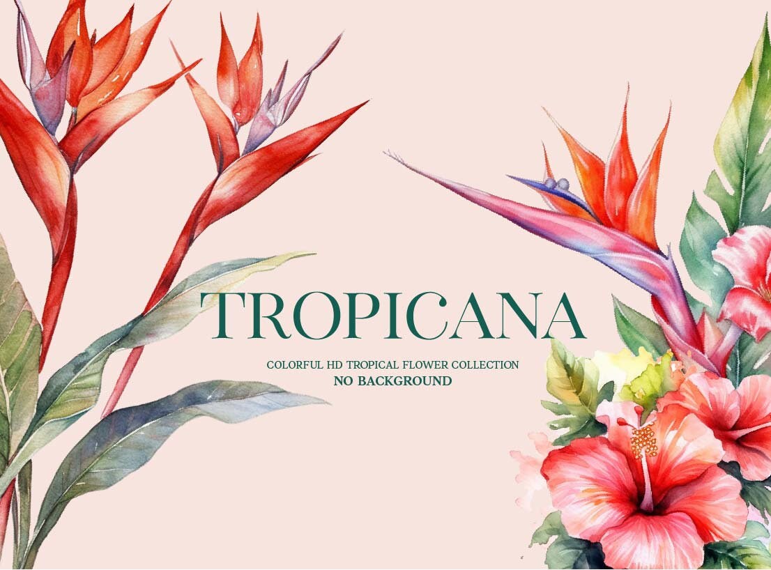 Hibiscus Flowers Watercolor Png - Tropical Flowers Clipart - Watercolor ...