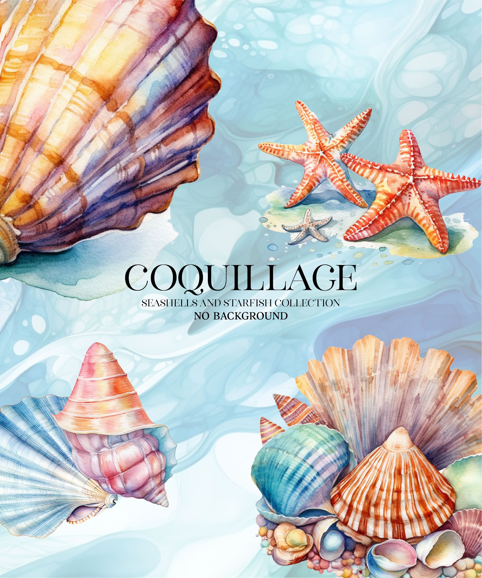 Beautiful Watercolor Seashells Clipart Watercolor Starfishes - Etsy