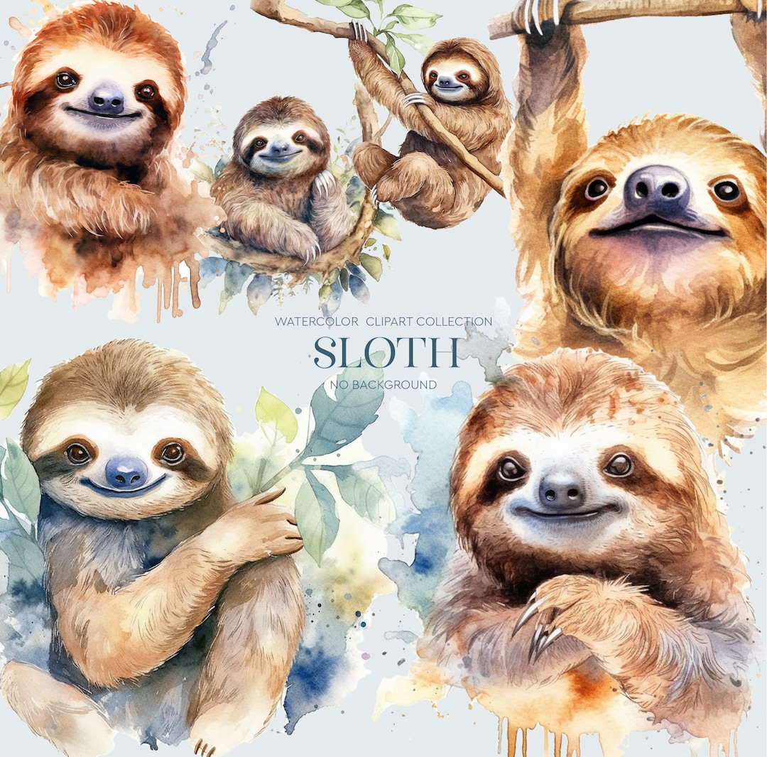 Watercolor Sloth Png, Cute Sloth Png Illustration, Animals Watercolor ...