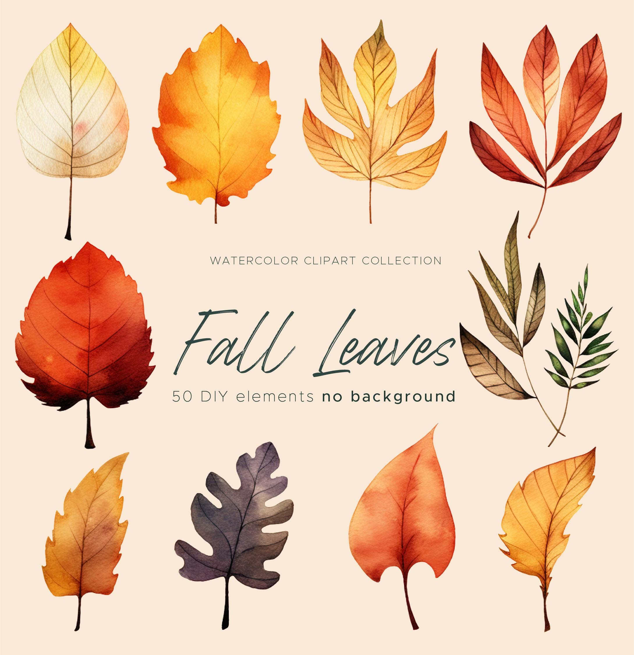 Maple Leaf Watercolor Png, Fall Leaves Clipart, Fall Clipart, Autumn ...
