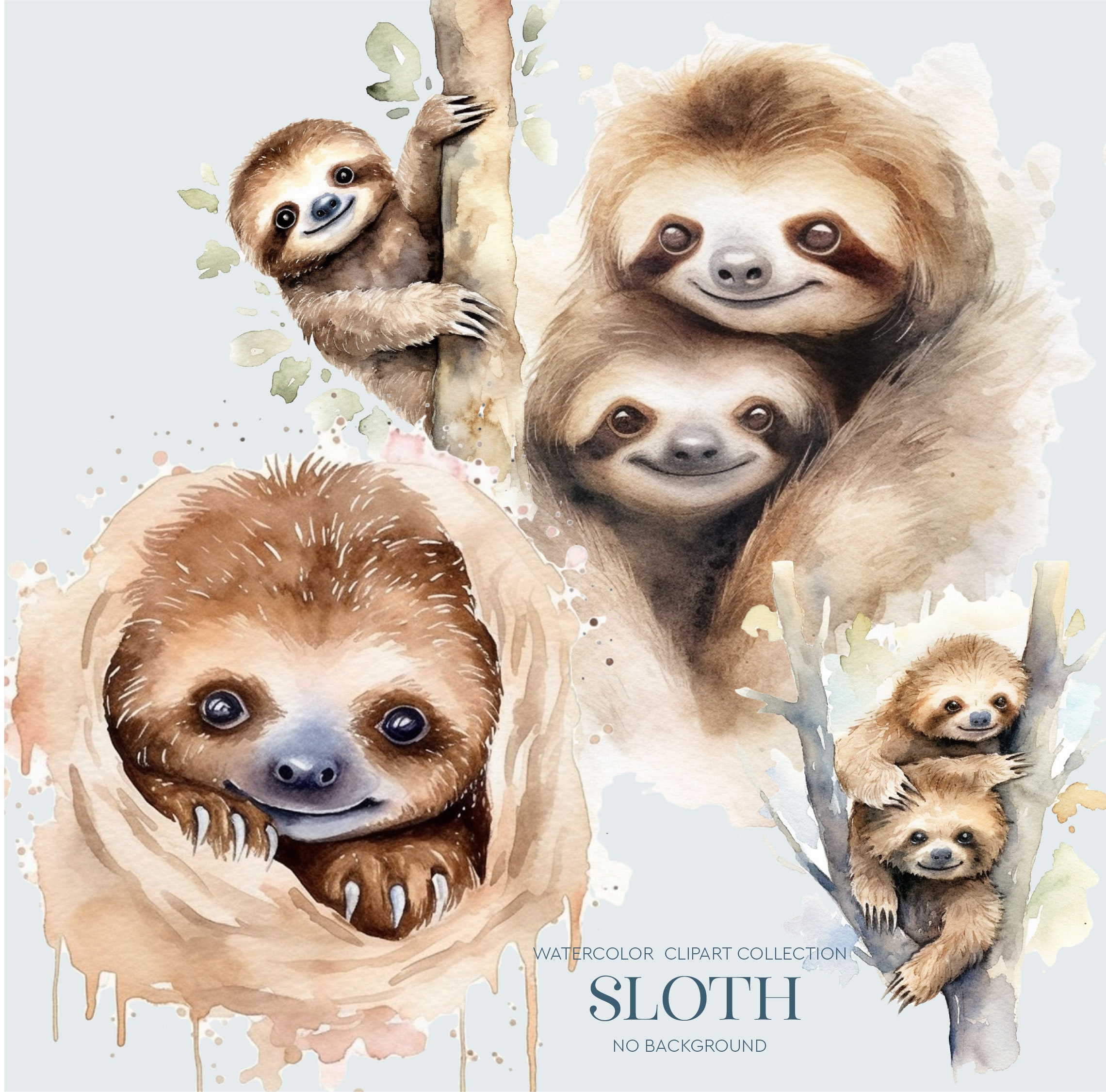 Watercolor Sloth Png, Cute Sloth Png Illustration, Animals Watercolor ...