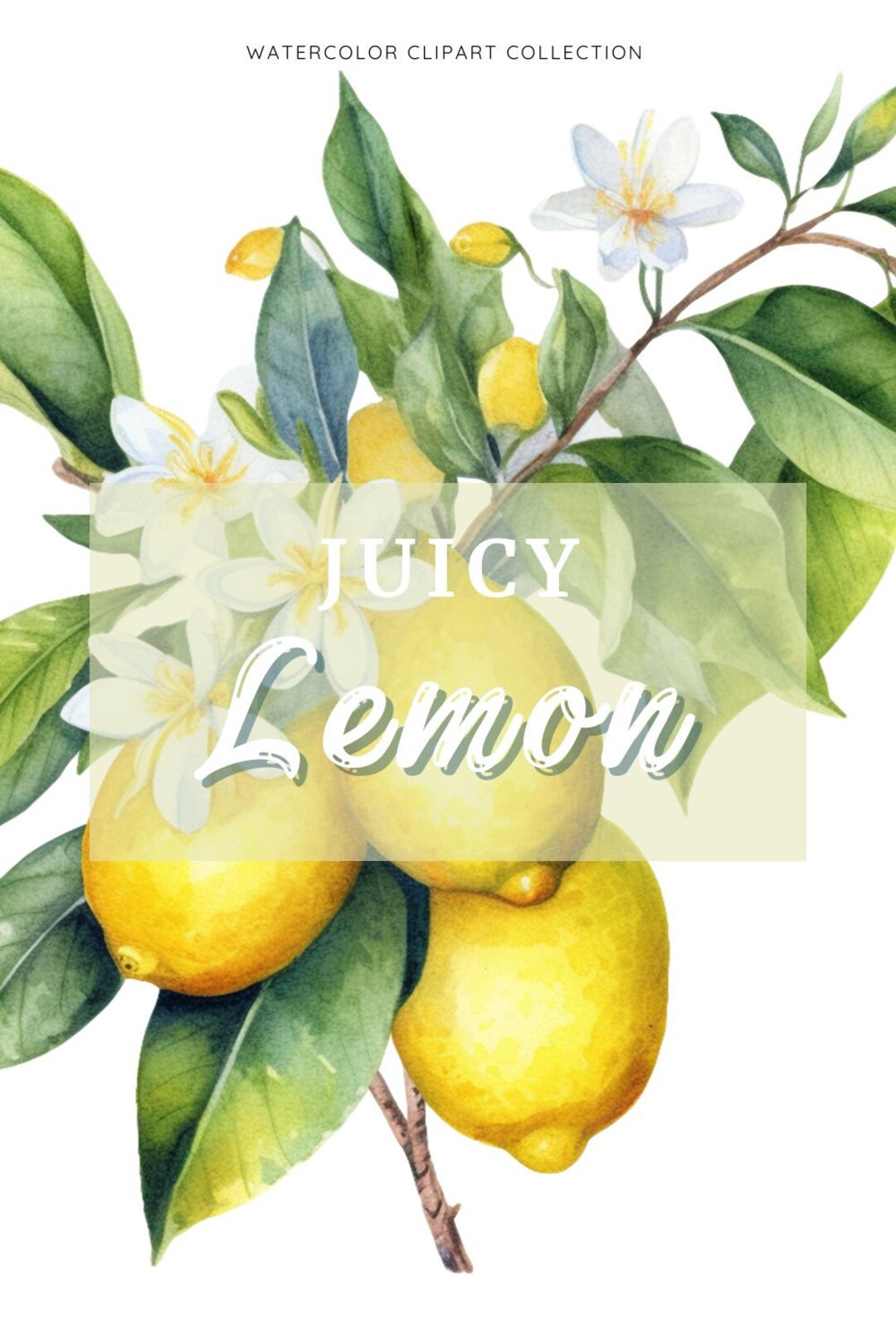 Mediterranean Clipart, Lemon Clipart, Lemon Theme, Citrus Art, Digital ...