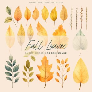 Maple Leaf Watercolor Png, Fall Leaves Clipart, Fall Clipart, Autumn ...