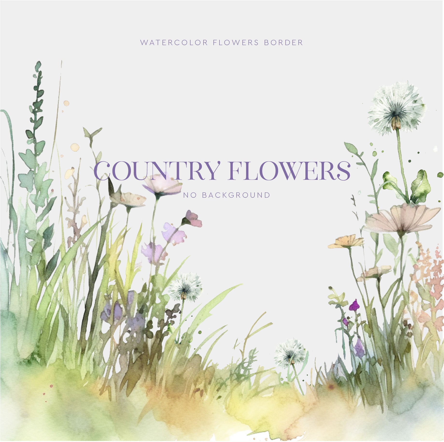 Watercolor Meadow Borders, Flower Borders Png, Wild Flowers, Watercolor ...