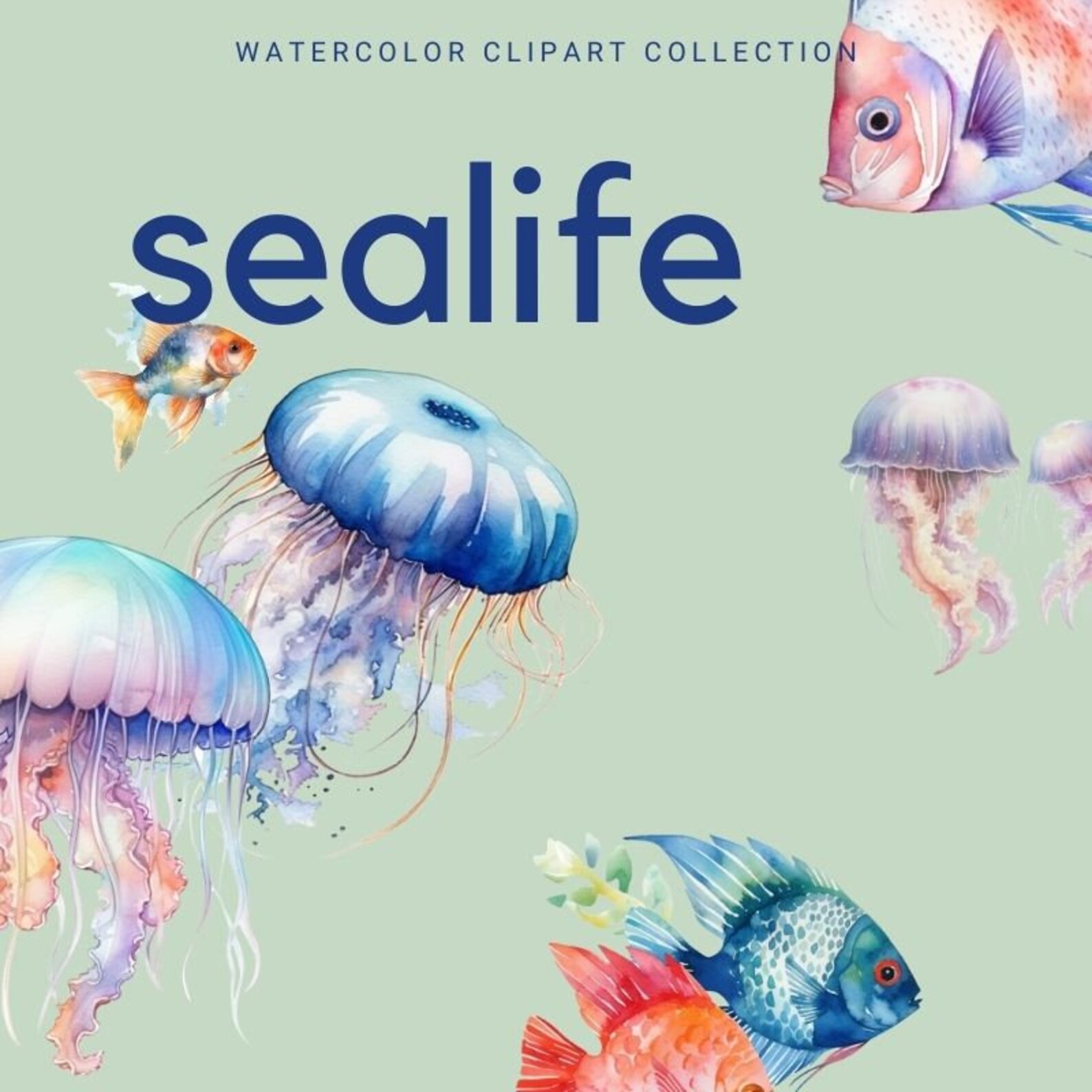 Sea Life Clipart, Fish Clipart, Ocean Life, Nautical Clipart ...