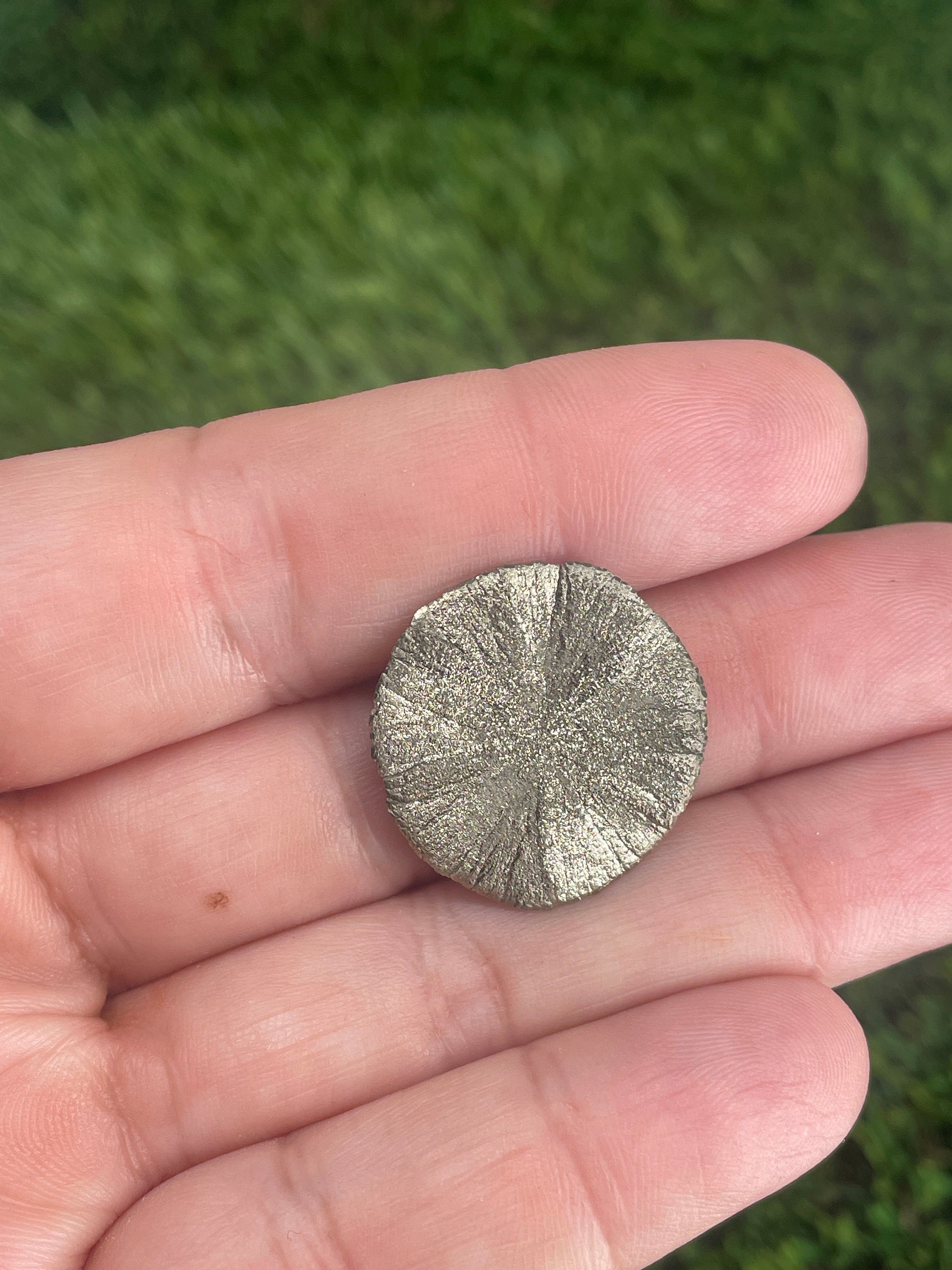 PYRITE SUN SPARTA Illinois Pyrite Disk, Miner's Dollar Collector Piece ...