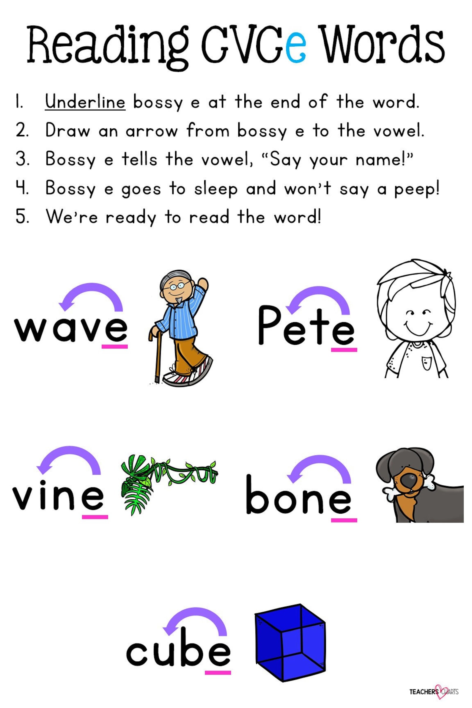 Reading Cvce Words Anchor Chart 3' X 2' - Etsy