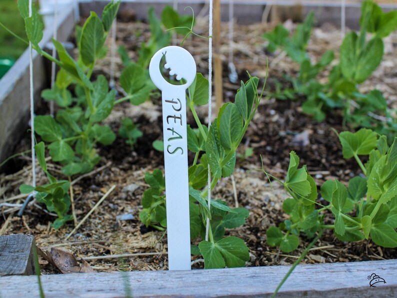 Custom Plant Labels With Cartoon Icons set of 5 - Etsy