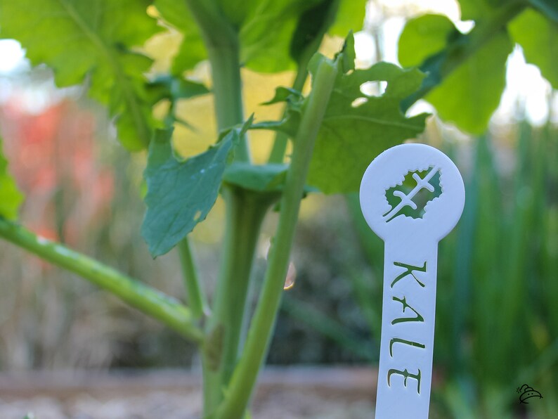 Custom Plant Labels With Cartoon Icons set of 5 - Etsy