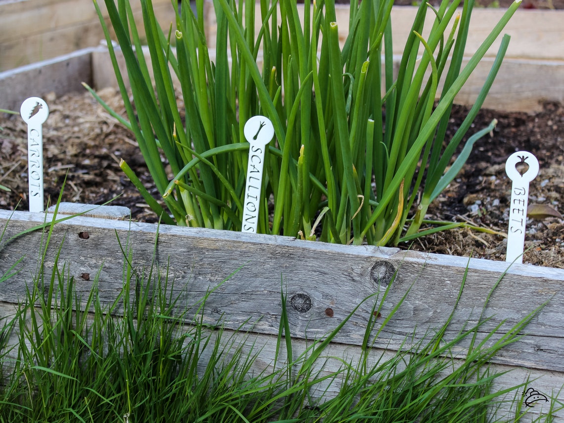 Custom Plant Labels With Cartoon Icons set of 5 - Etsy