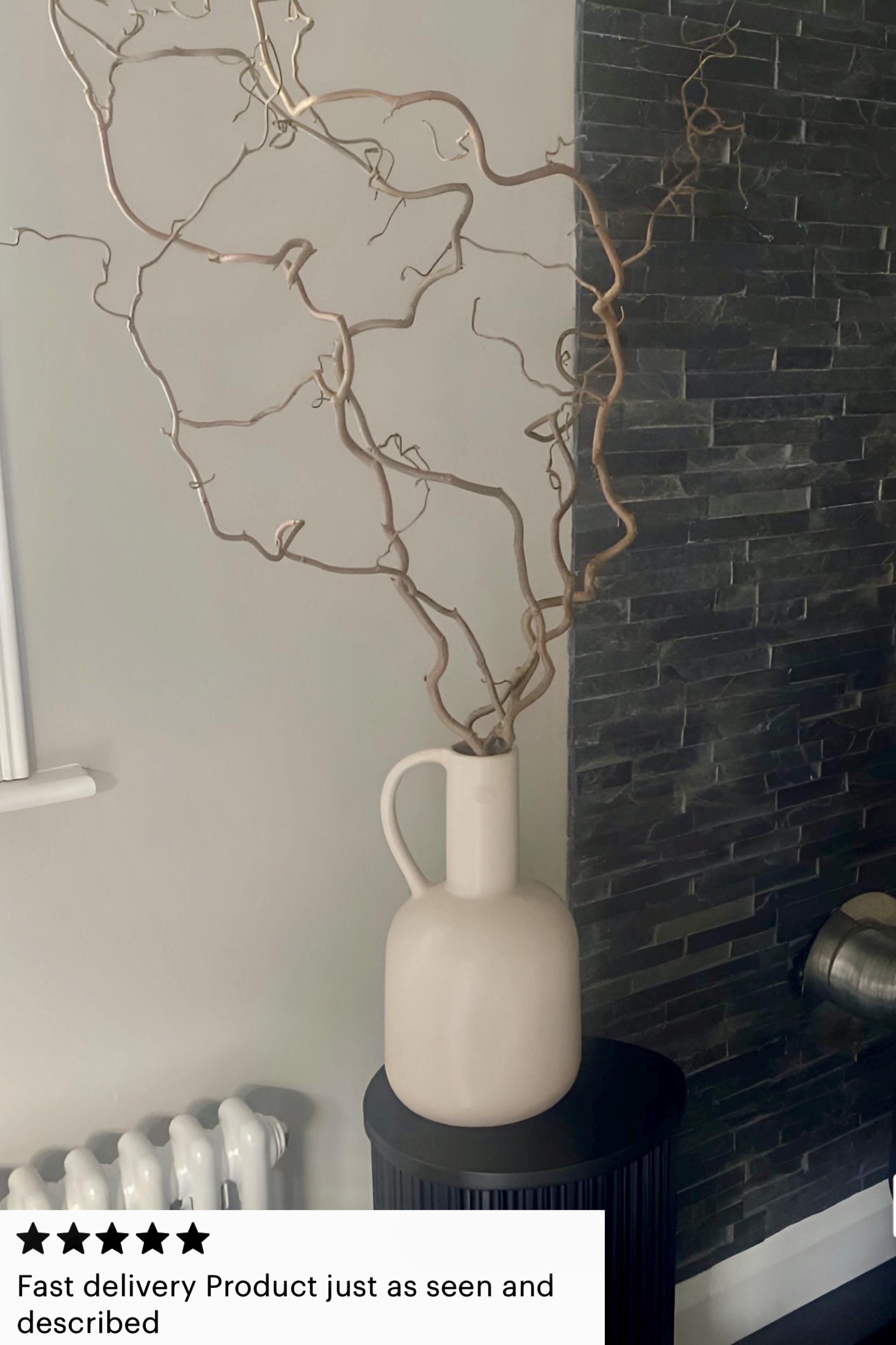Contorted Twisted Hazel Corylus Branches, Real Decorative Branches ...