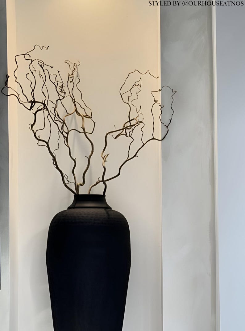 Contorted Twisted Hazel Corylus Branches, Real Decorative Branches ...