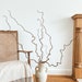 Long Twisted Hazel Branches, Corylus Twigs for Vase, Japandi Branches ...