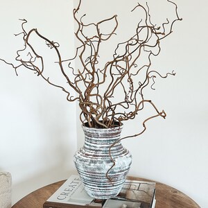 5|10 Top Table Twisted Hazel Corylus Branches, Contorted Hazel, Curly ...