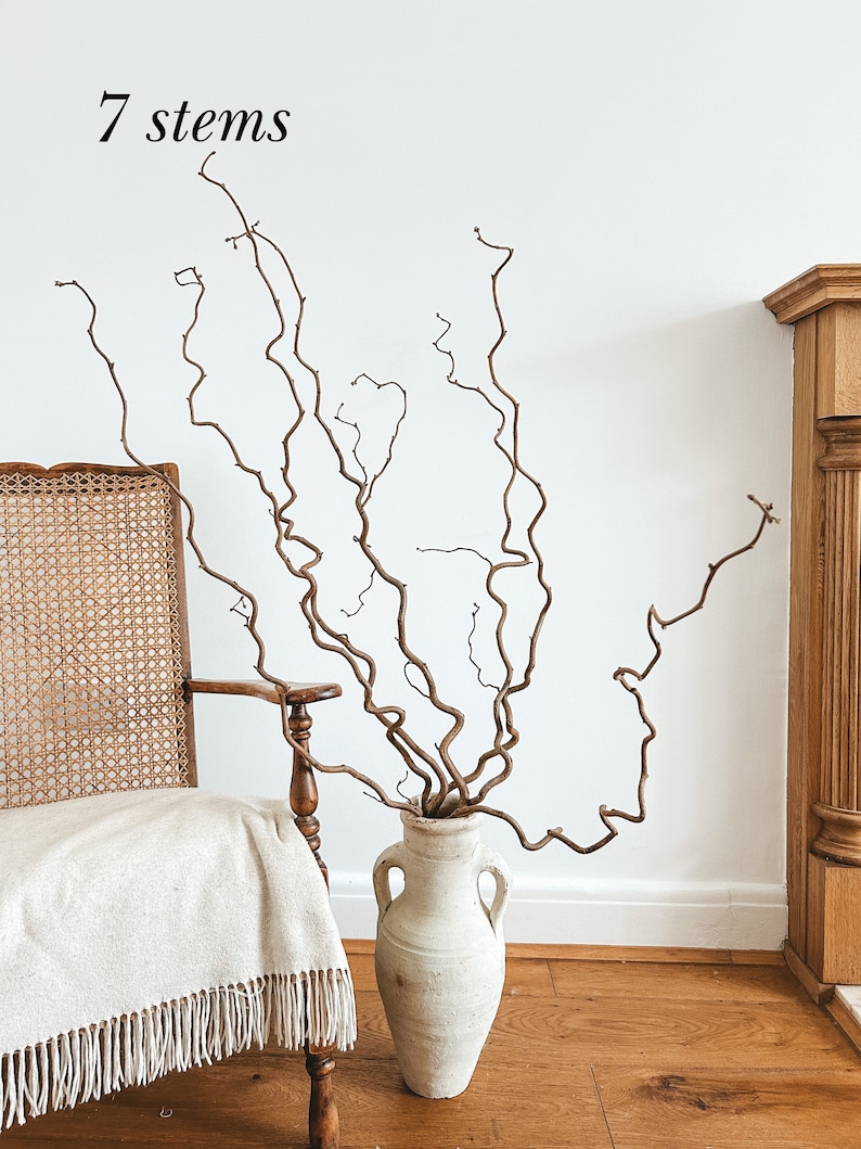 XL Twisted Hazel Branch Corylus Curly Twigs Wabi Sabi - Etsy UK